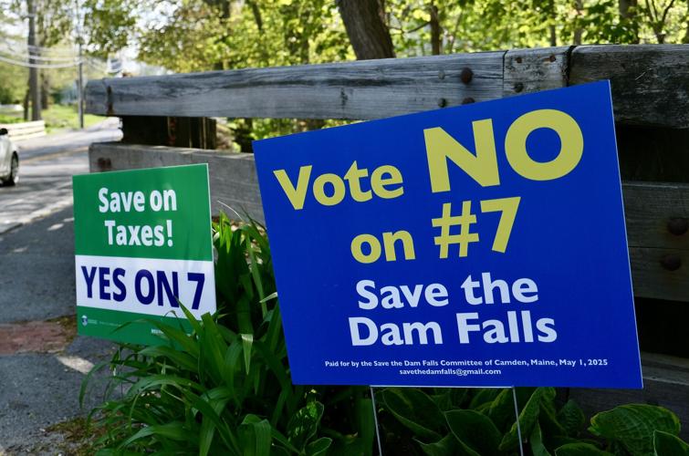 New Spring Bloom in Camden: Those Dam Signs | Camden Villager ...