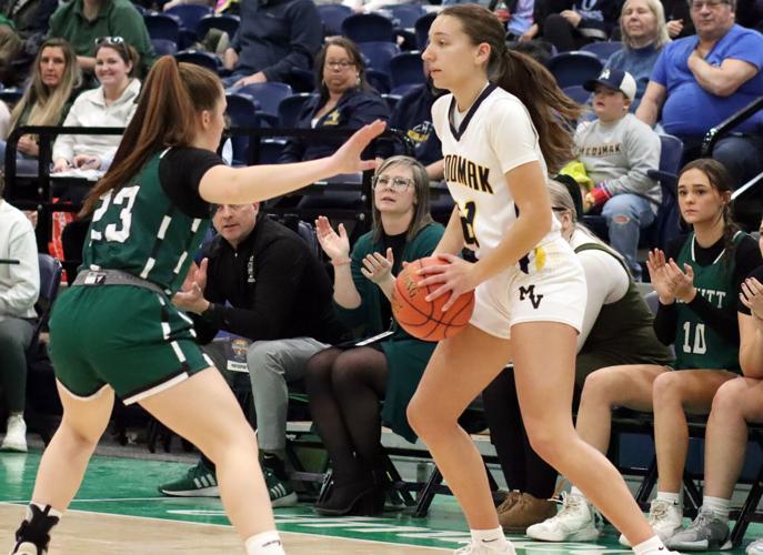 Panthers Contain Swarming Hornets, Prevail in Regional Hoop ...