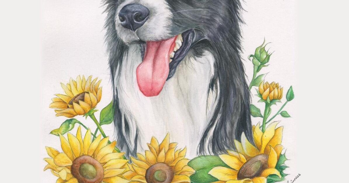 50th Common Ground Fair Poster Honors Very Good Boy | Festivals ...