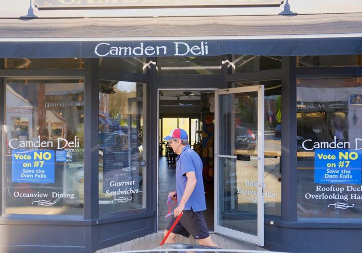 New Spring Bloom in Camden: Those Dam Signs | Camden Villager ...