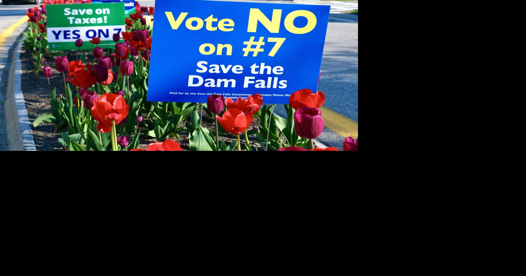 New Spring Bloom in Camden: Those Dam Signs | Camden Villager ...
