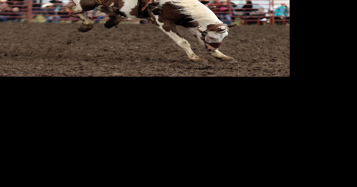 Miles City riders compete in Terry's 4th of July rodeo | Sports ...