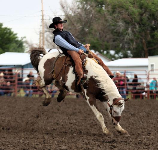 Miles City riders compete in Terry's 4th of July rodeo | Sports ...