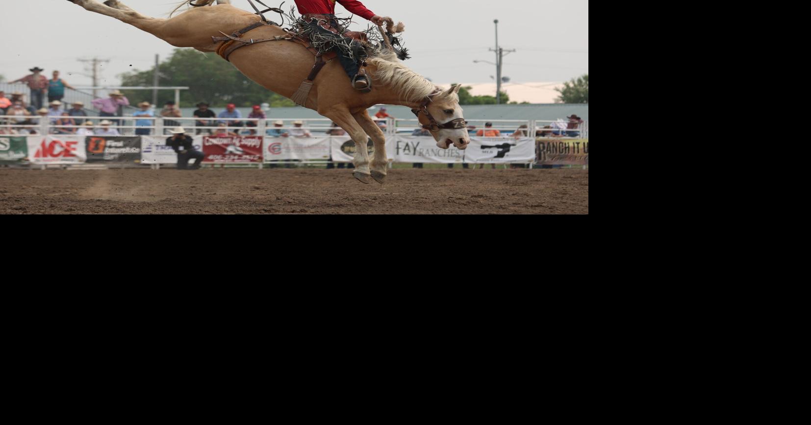 Record attendance at World Famous Miles City Bucking Horse Sale | News ...