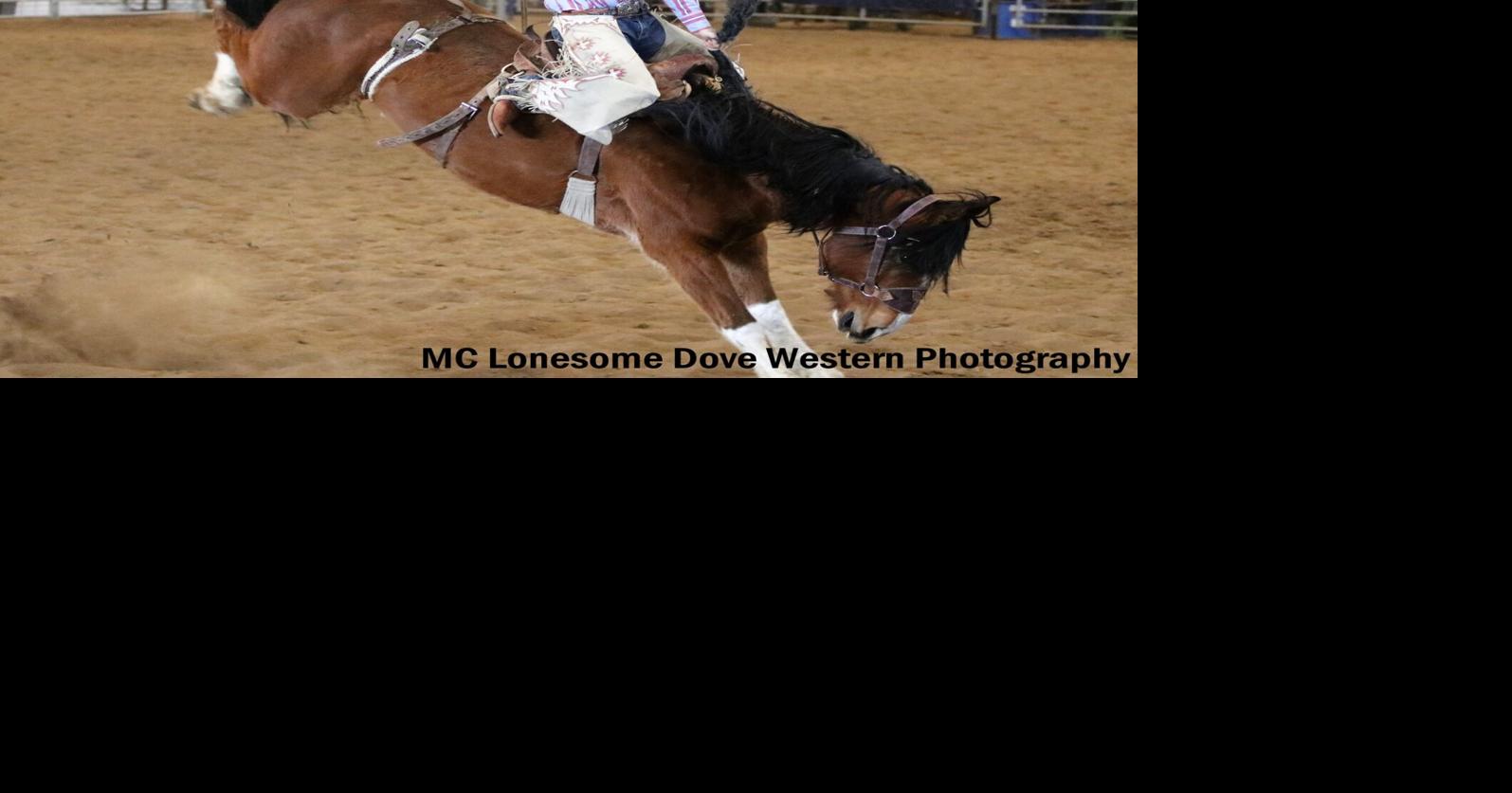 Powder River Rodeo, PRCA, Battle of the Scholars, Miles City | Local ...