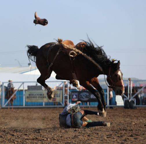 Thurston has top ride in Match Bronc at Bucking Horse Sale | Sports ...