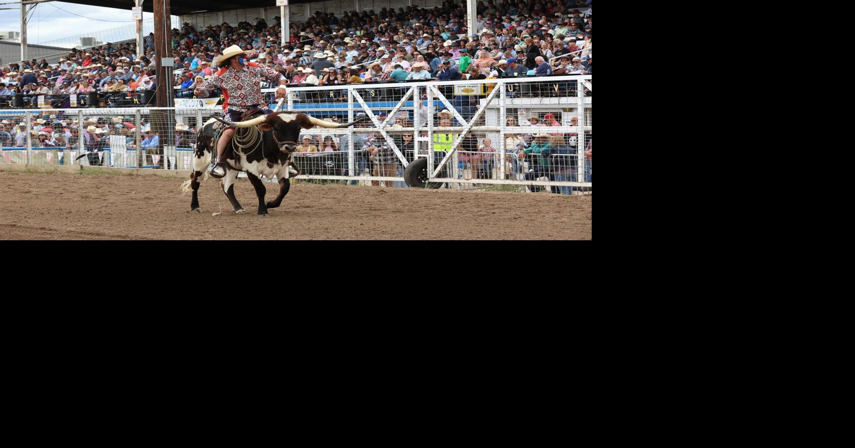 World Famous: 2024 Bucking Horse Sale brings in the crowds for a fully ...