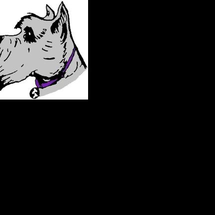 Terry Terriers will return to the football field next fall | Sports ...