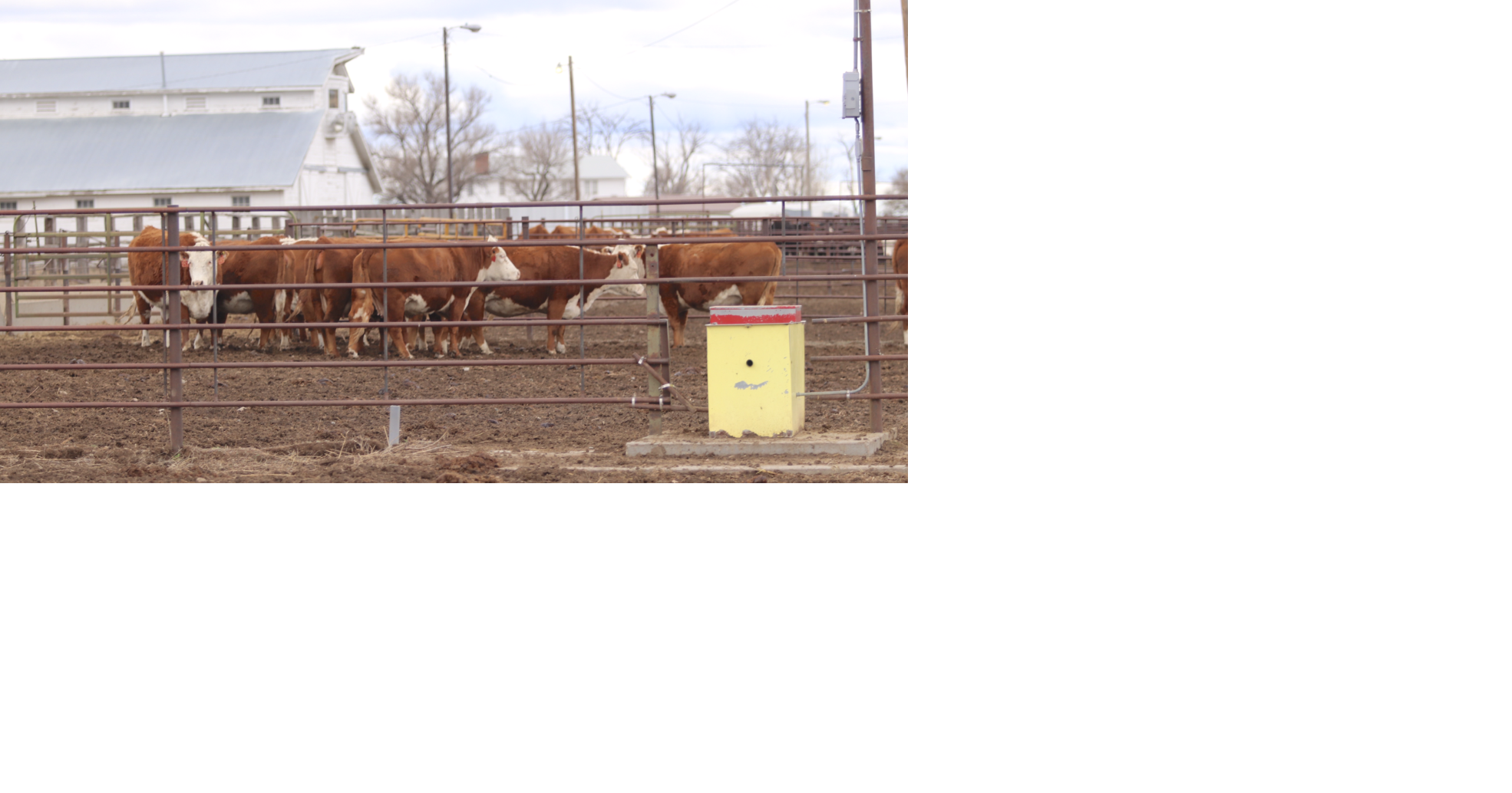 Fort Keogh to celebrate one hundred years of agricultural research ...