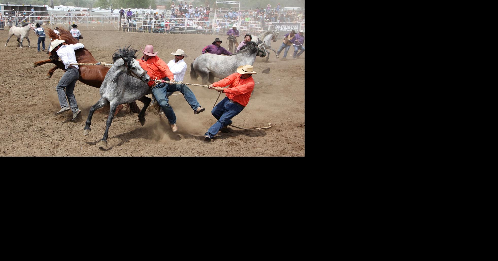 World Famous Bucking Horse Sale, Miles City | Local | milescitystar.com