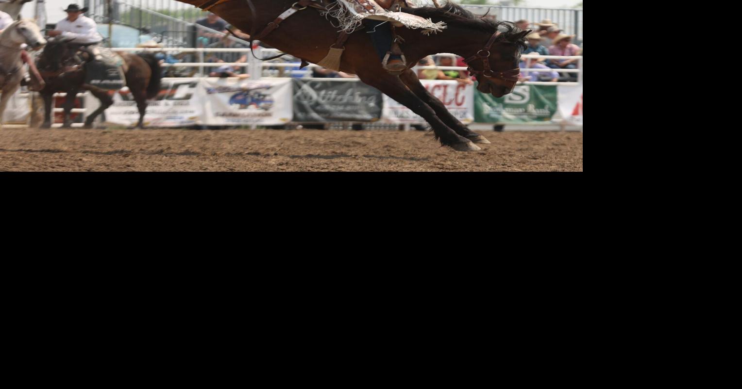 Ruckus: Photos that are worth a thousand words | News | milescitystar.com