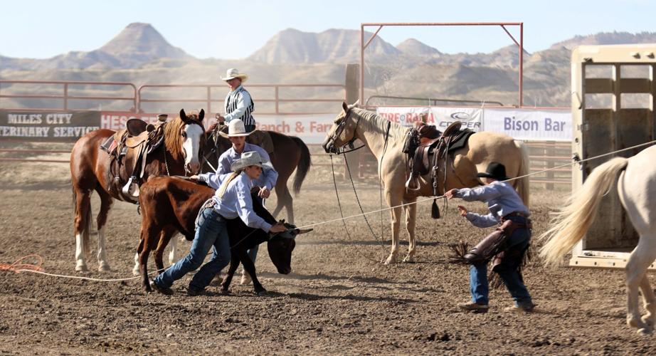 Ranch Rodeo Finales cap off the season | Sports | milescitystar.com
