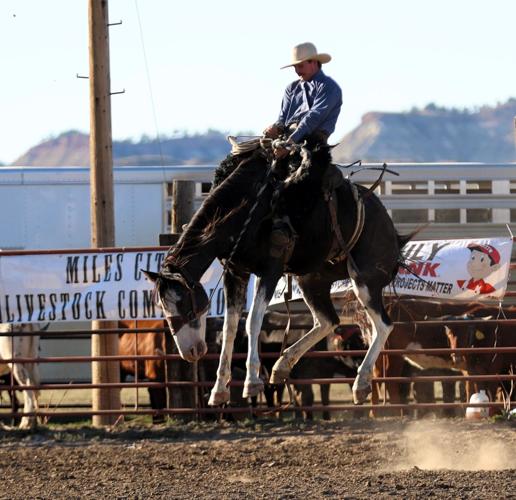 ranch rodeo finals