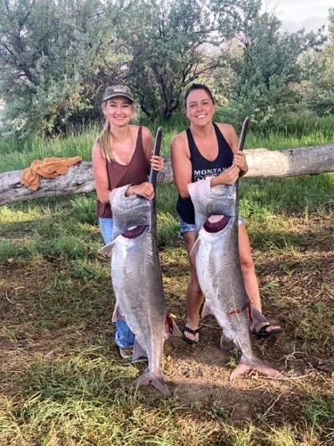 Paddlefish provide a unique piscatorial pursuit… | Sports ...