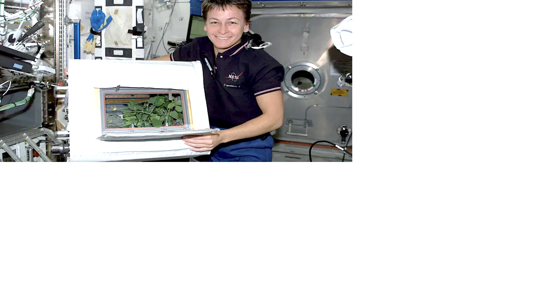 From 4-H to outer space -- this farm girl has logged more days in space ...