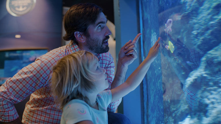 New Early Learner Gallery and Aquarium usher in summer at Nauticus ...