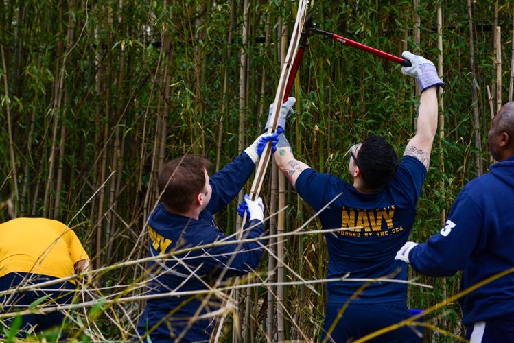 CNRMA Sailors volunteer with Keep Norfolk Beautiful | Top Stories ...