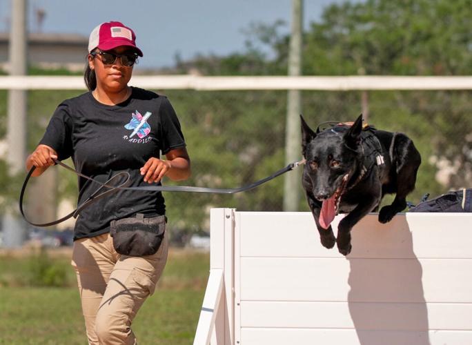 Nas Pensacola Security Forces Dog And Handler Win K 9 Competition