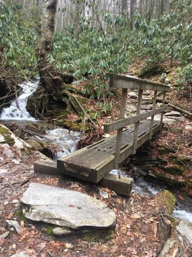 Day 31: Spivey Gap to Uncle Johnny's (Erwin, Tenn.) | Trippin' on the ...