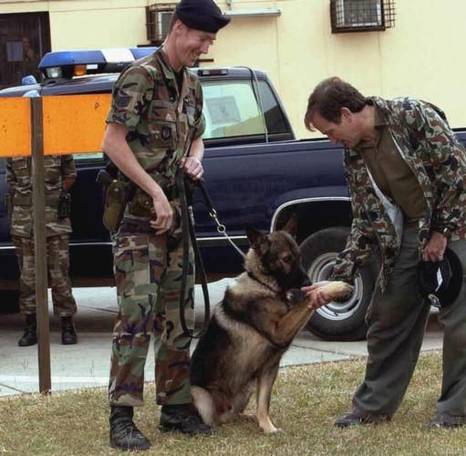 Robin Williams' performances for the troops | Multimedia | militarynews.com
