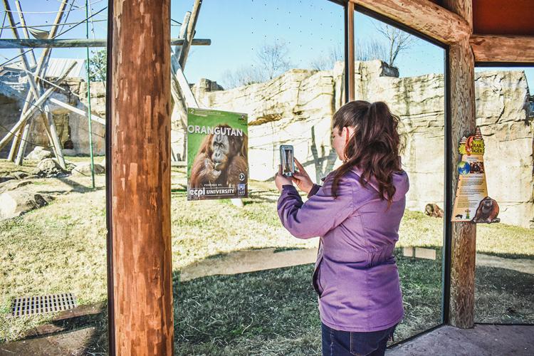 Augmented Reality Tour Enhances Virginia Zoo Experience | Community ...