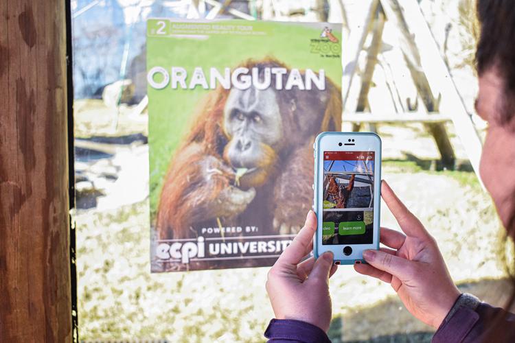 Augmented Reality Tour Enhances Virginia Zoo Experience | Community ...