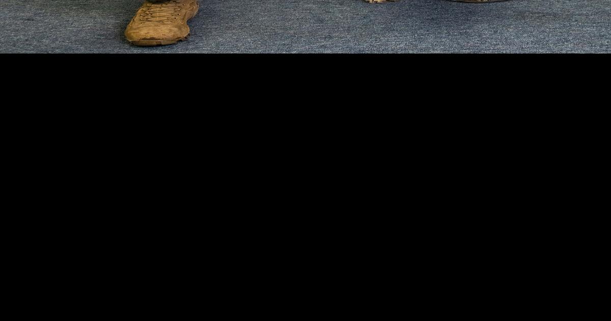 Welcome to the family, MWD Hanes | Top Stories | militarynews.com