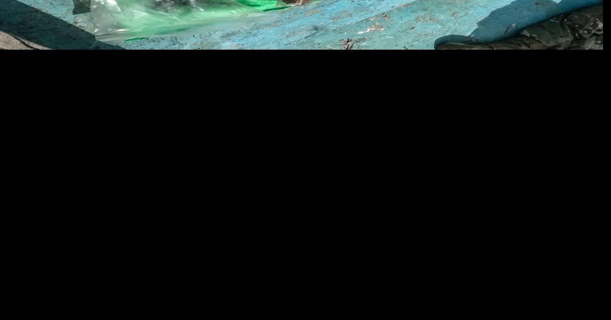 Jason Dunham counts 2,521 AK-47s seized | News | militarynews.com