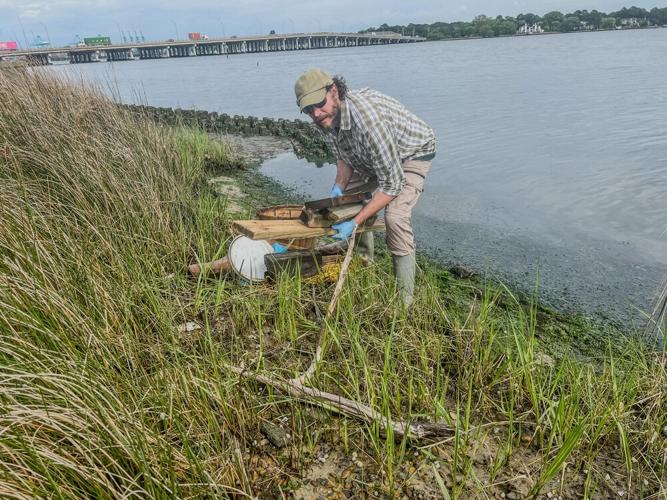 NAVFAC Atlantic champions Chesapeake Bay preservation at Lafayette ...