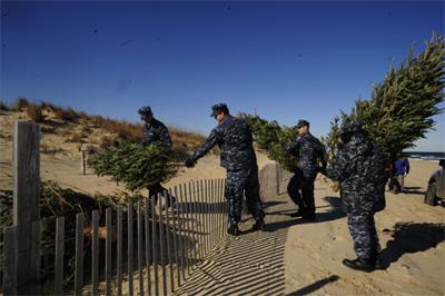 Dam Neck Dunes receive holiday reinforcement | News | militarynews.com