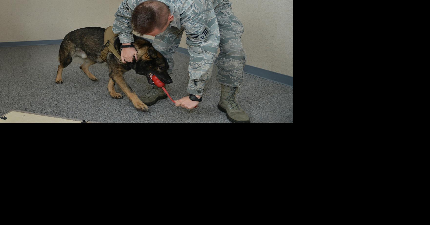 MWD: Powering through new partnership | Features | militarynews.com