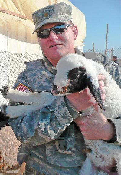 Americans work with Iraqi vets to enhance animal care | News ...