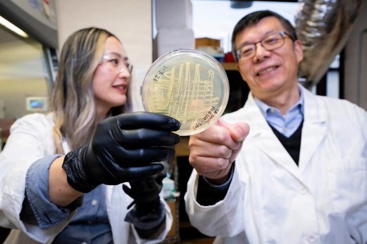 Naval Research Lab Space Station study reveals key challenges and ...