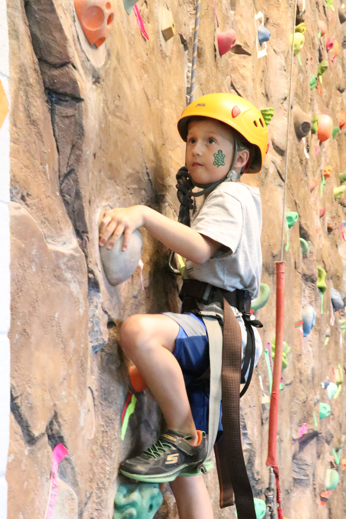 2019 Military Fun Day | Military-fun-day | militarynews.com