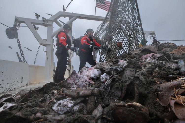 A week in the life of protecting American fish and seafood ...