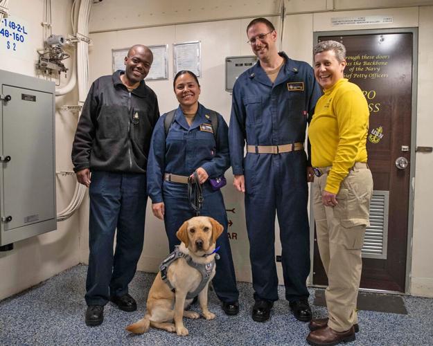 Mutts with a Mission deploys with USS Gerald R. Ford | Top Stories ...