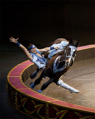 horse circus performance