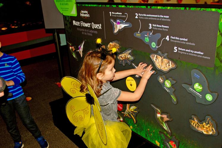 “Bee” Amazed by the new changing exhibit at the Virginia Aquarium – Step into a playable maze ...