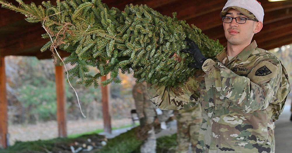 Trees for Troops returns to NWS Yorktown and JEB Little Creek-Fort ...