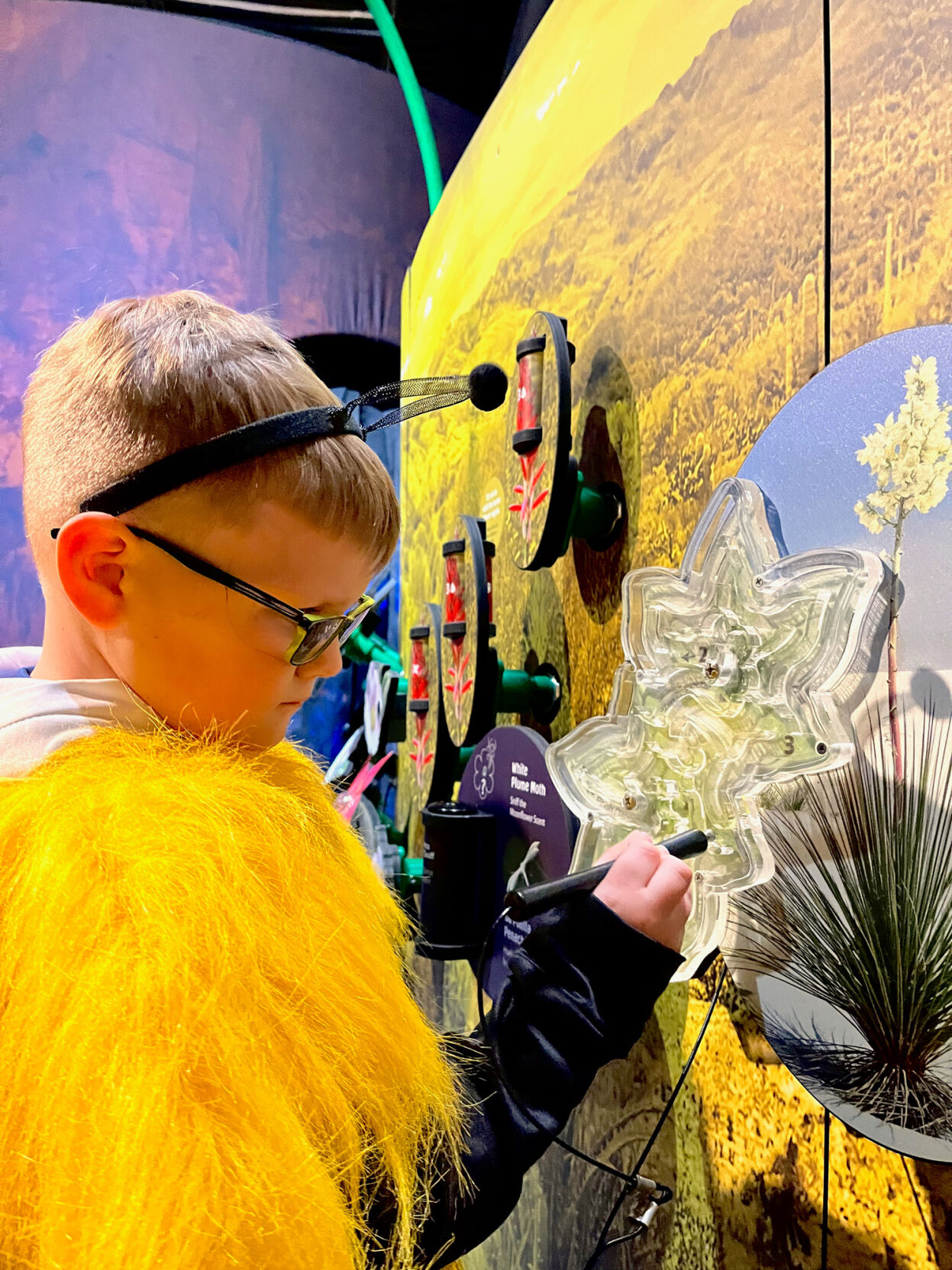 “Bee” Amazed by the new changing exhibit at the Virginia Aquarium ...