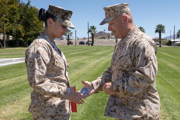 Towards the sounds of chaos: CID Marine awarded Jim Kallstrom Award for ...