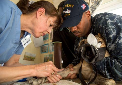 Pacific Partnership 2015 veterinary personnel treat Fijian pets at ...