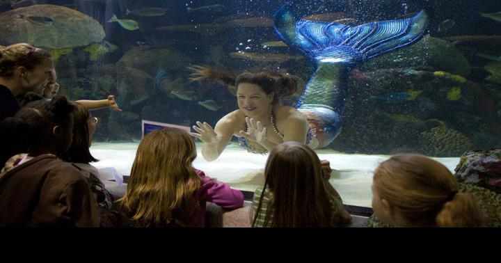 April Mermaid Mondays at the Virginia Aquarium | On Liberty ...