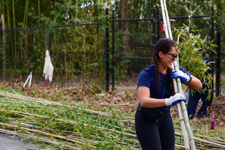 CNRMA Sailors volunteer with Keep Norfolk Beautiful | Top Stories ...