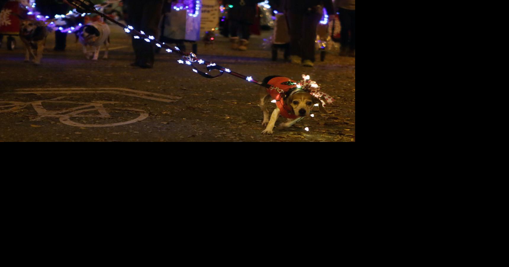 32nd Annual Grand Illumination Parade in downtown Norfolk ...