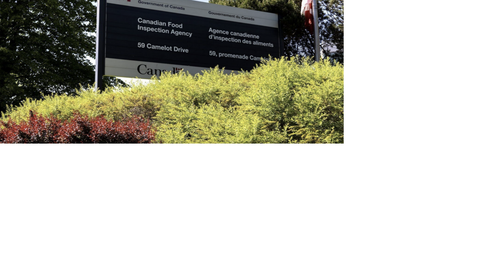 Food recall issued for cream cheese frosting sold in Ontario