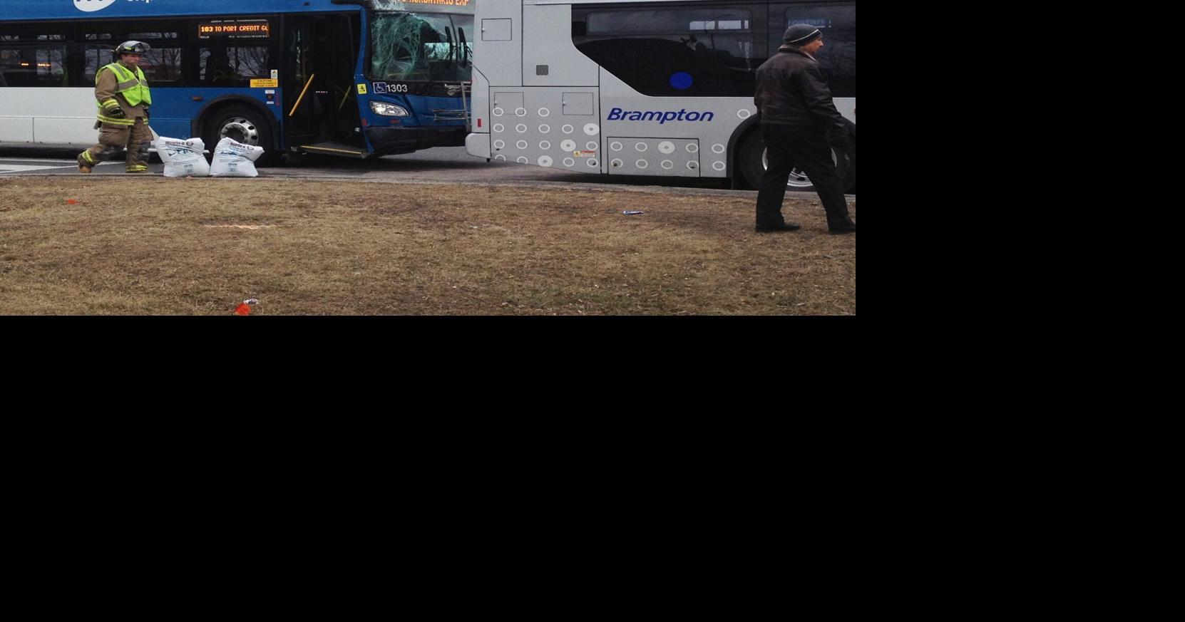 Transit buses collide in Mississauga