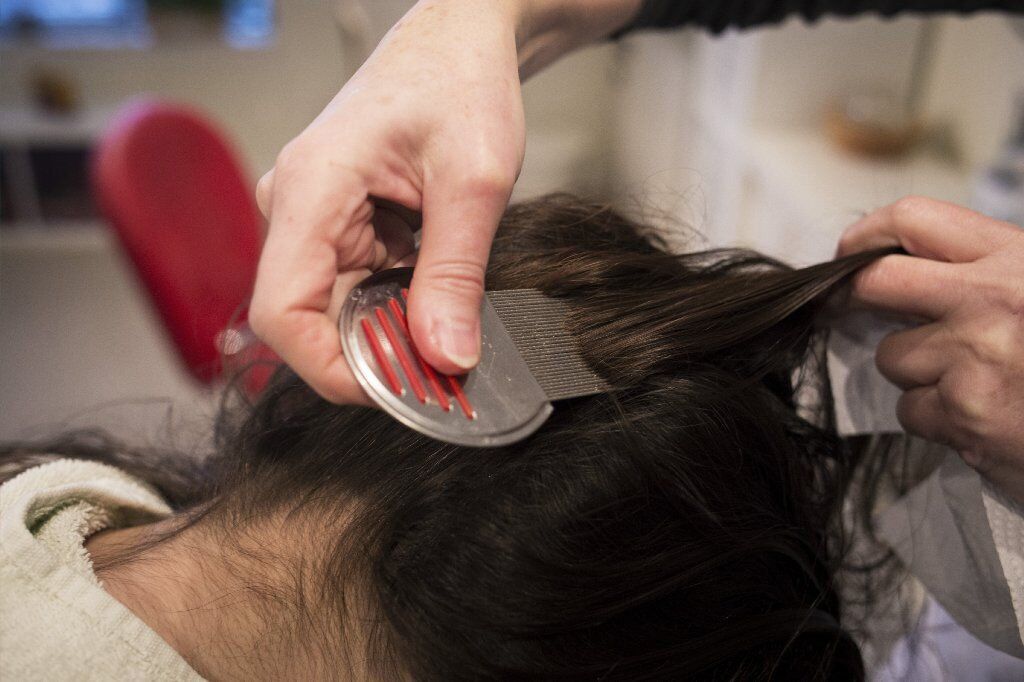 Five tips for preventing head lice infestation