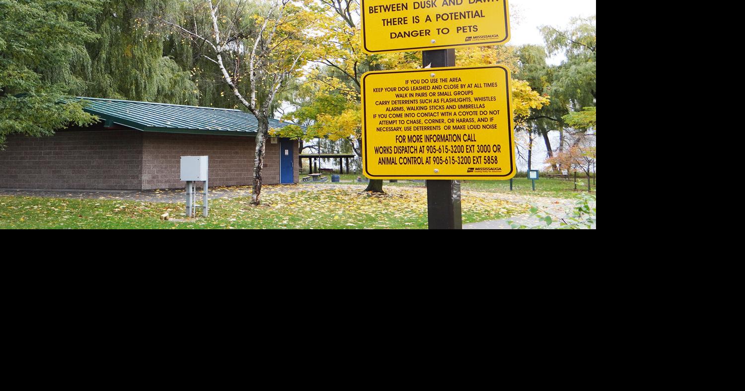 Coyote and coywolf attacks on pets have communities worried