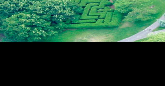 Mississauga man offers $200,000 to revive Centre Island maze